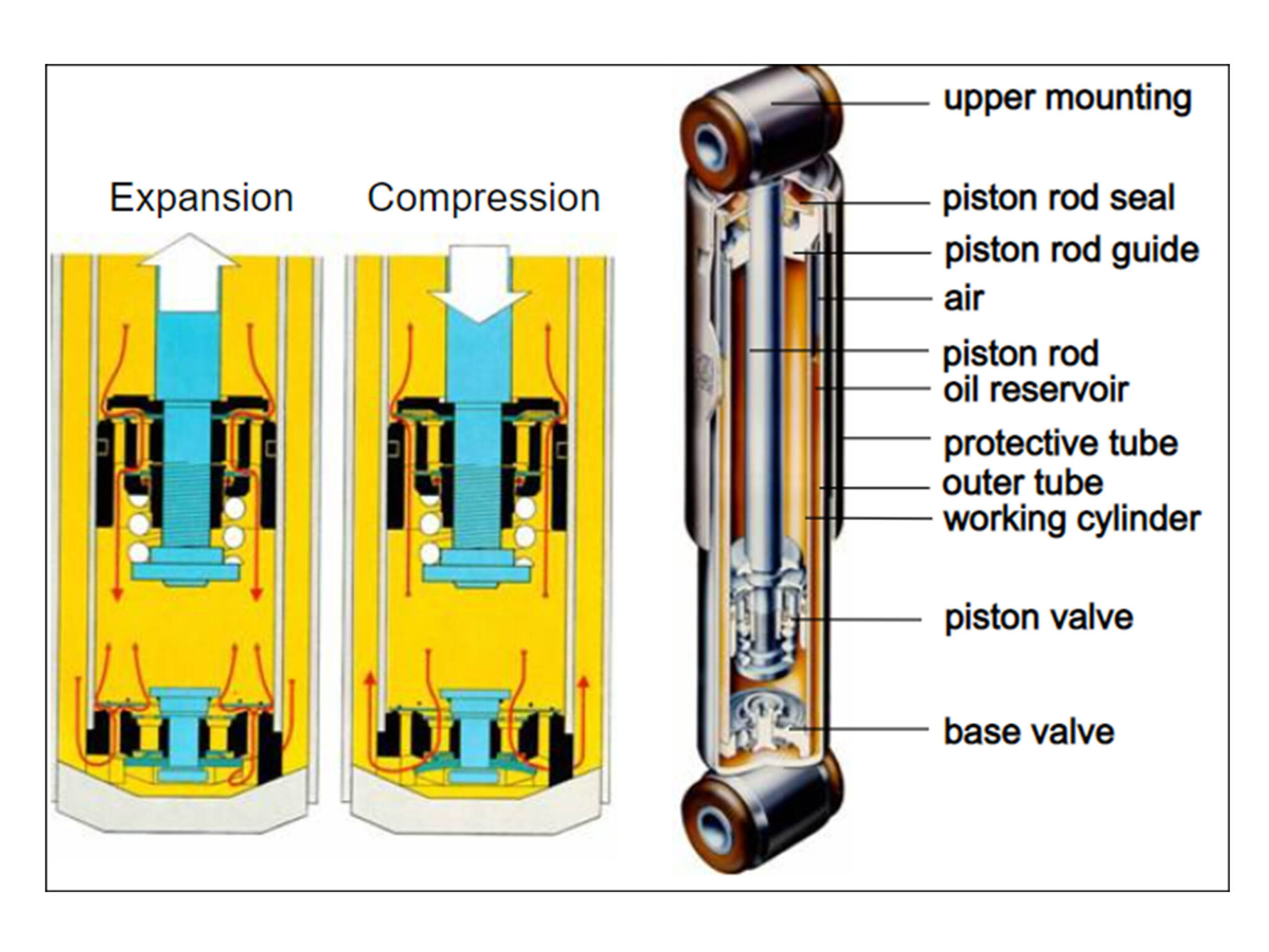 World design for ingenious shock absorbing – PMG
